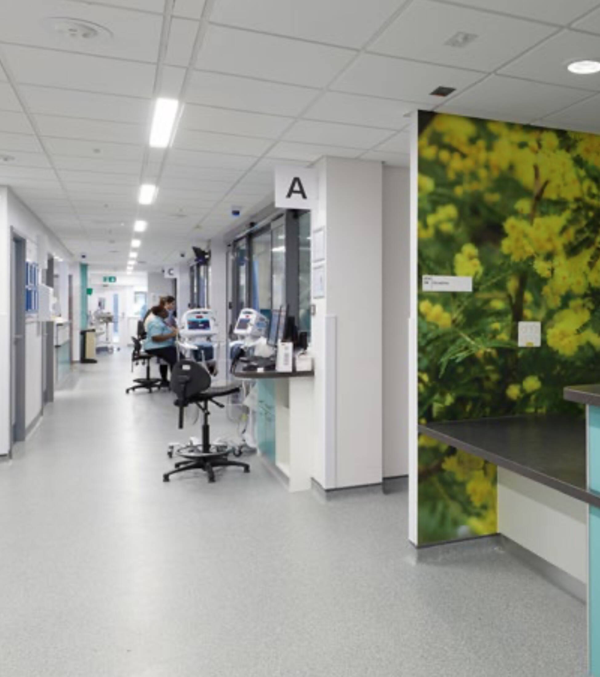 Homerton University Hospital, London | Perfect Circle